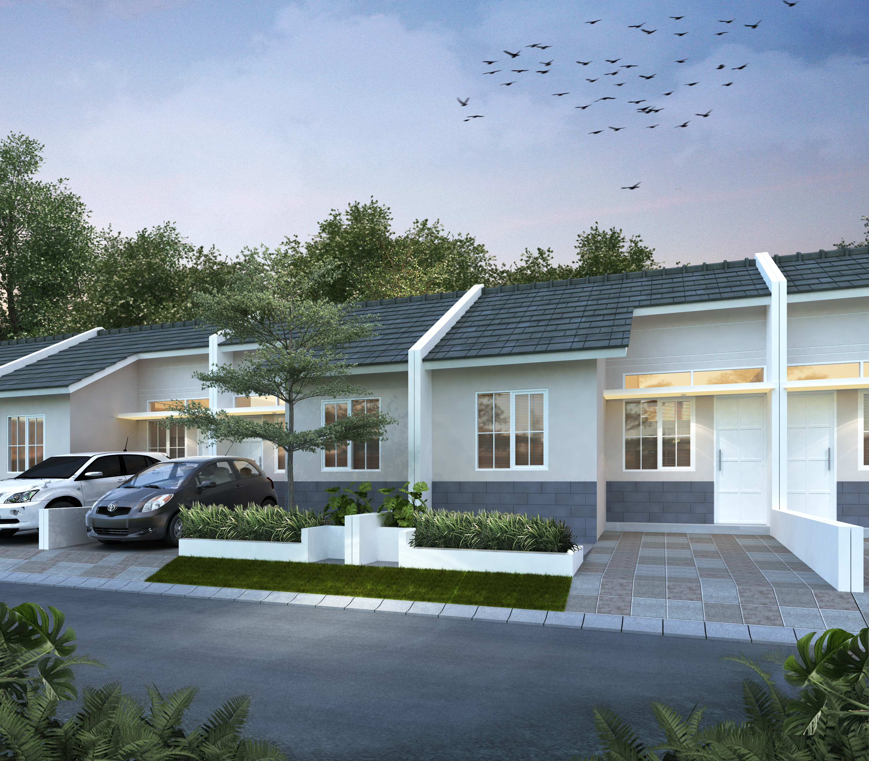 New Daisy | Jade Development